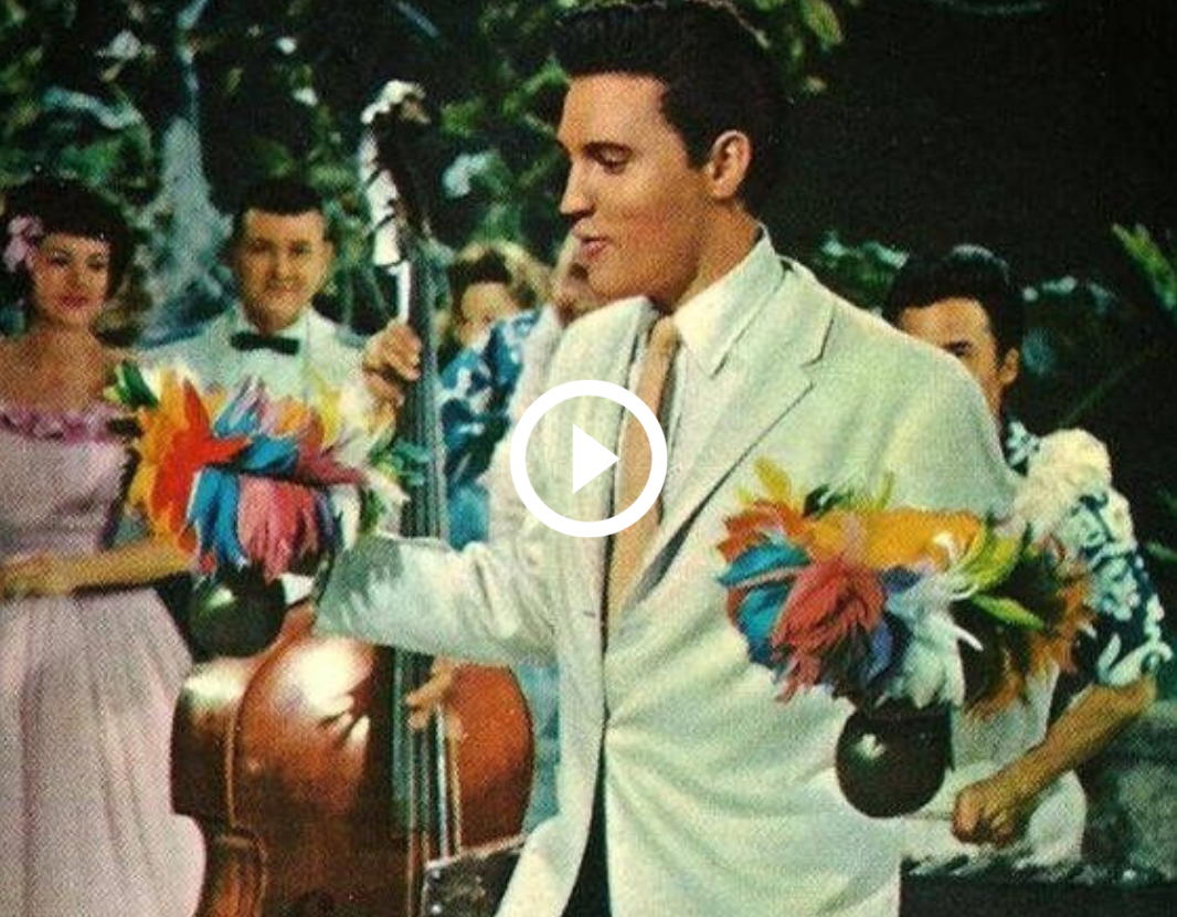 Elvis Presley – Bossa Nova Baby (1963) - Music Legend