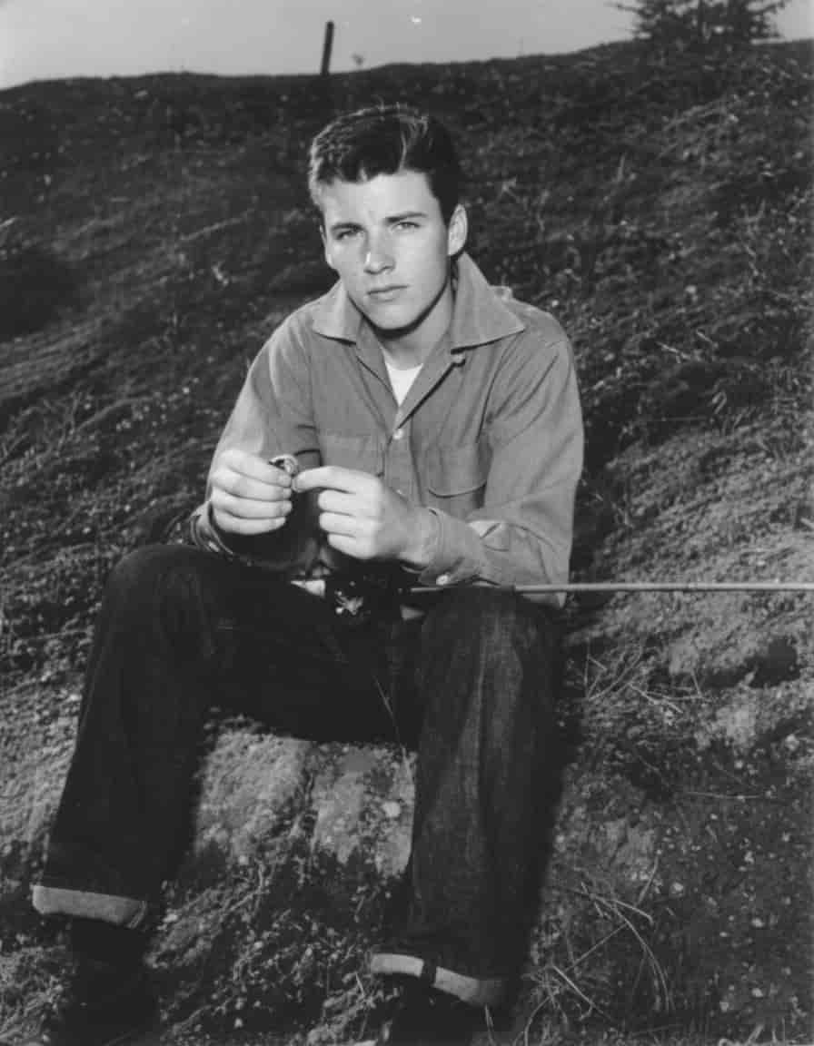 Ricky Nelson - Stood Up - Music Legend